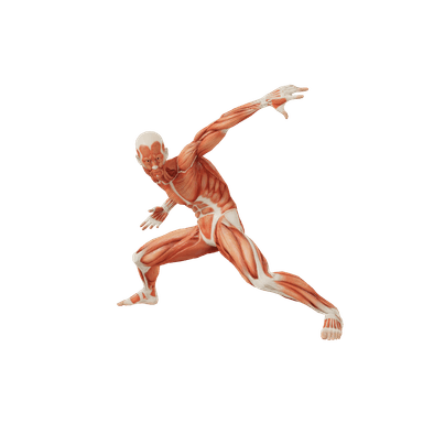 Pose 0000244, Masculino, Peleando, Agachado, Empujando | POSEMANIACS ...