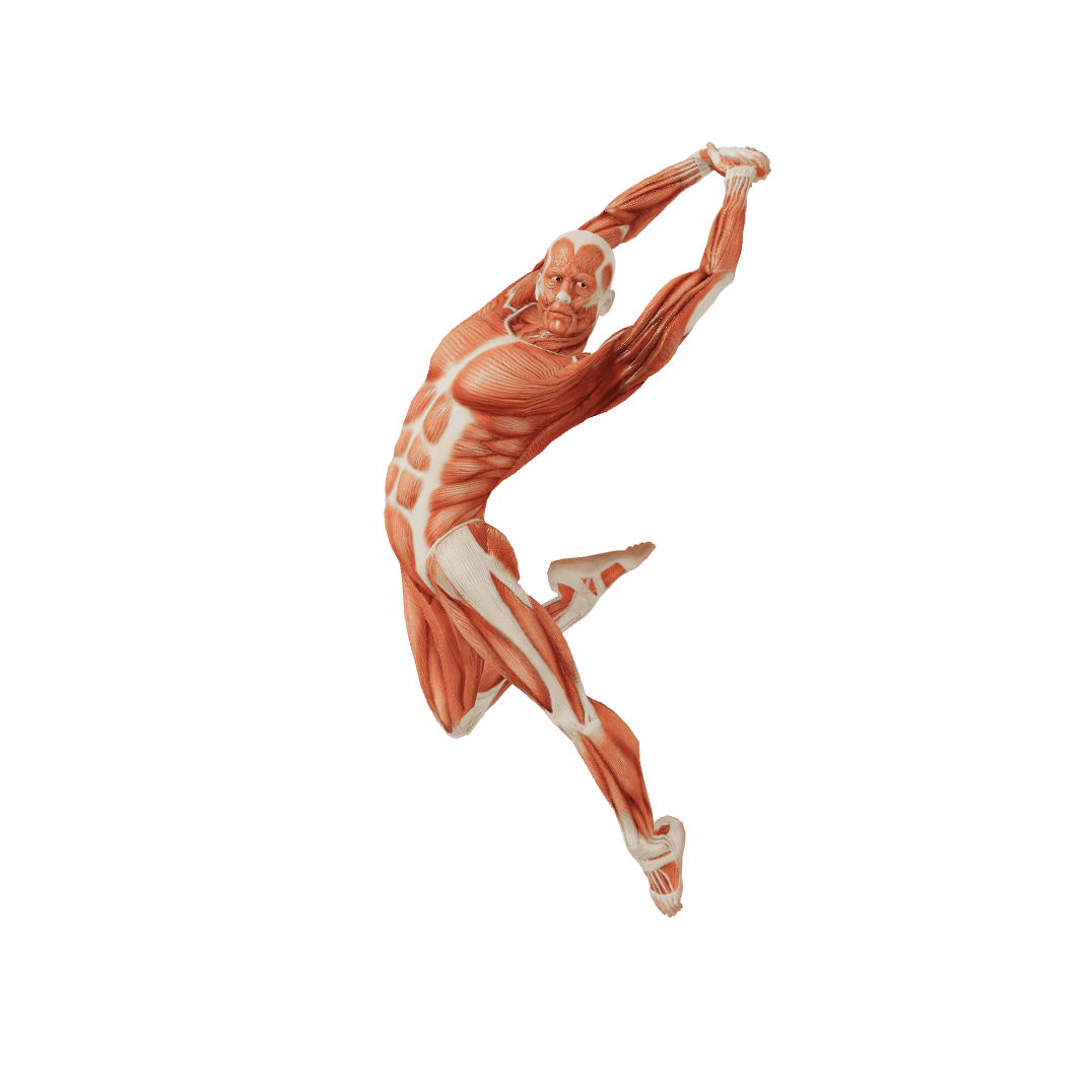 Floating Male poses | POSEMANIACS - Royalty free 3d pose reference for ...