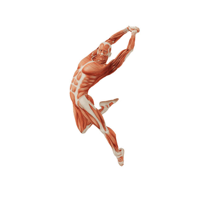Floating Unisex poses | POSEMANIACS - Royalty free 3d pose reference ...