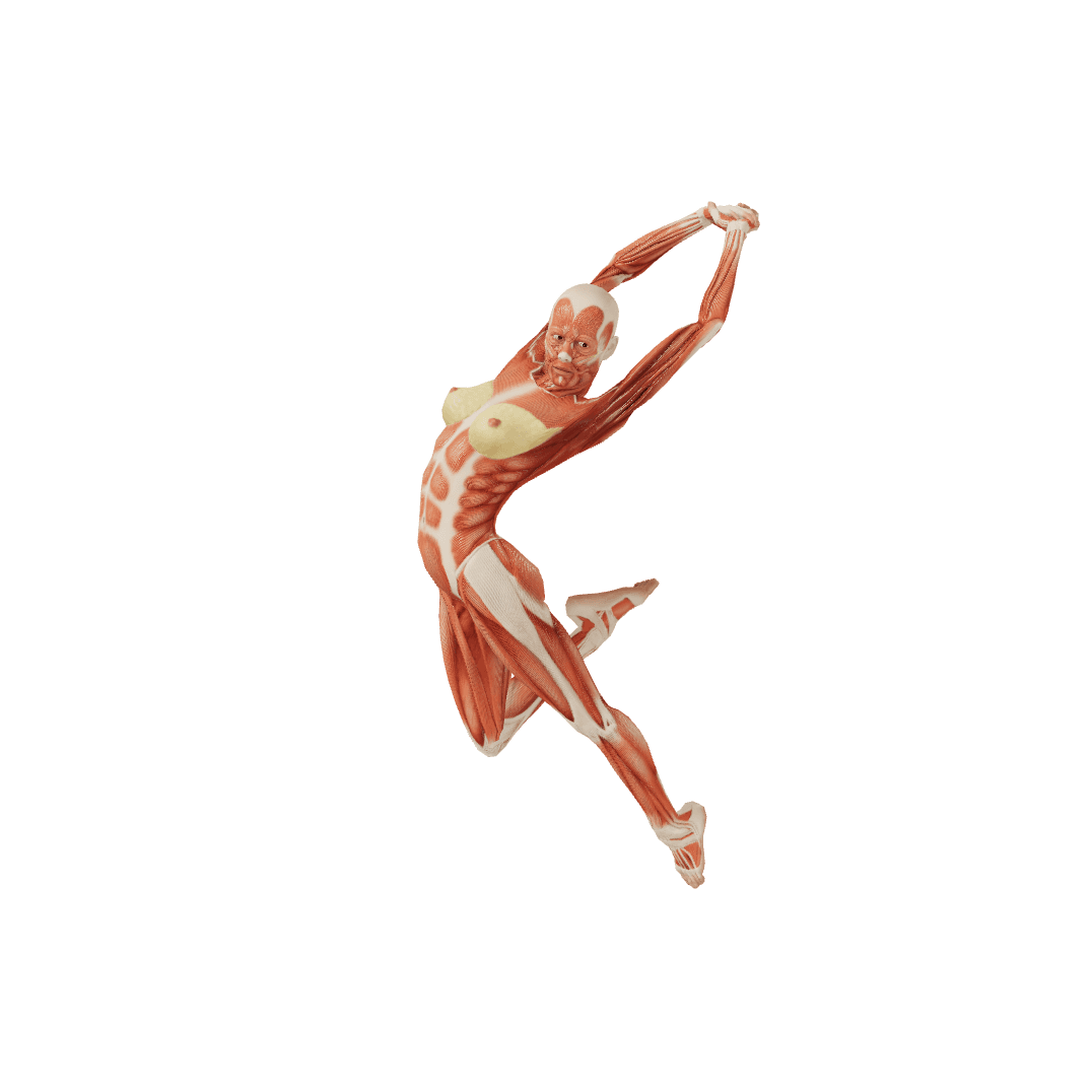 Floating Unisex poses | POSEMANIACS - Royalty free 3d pose reference ...