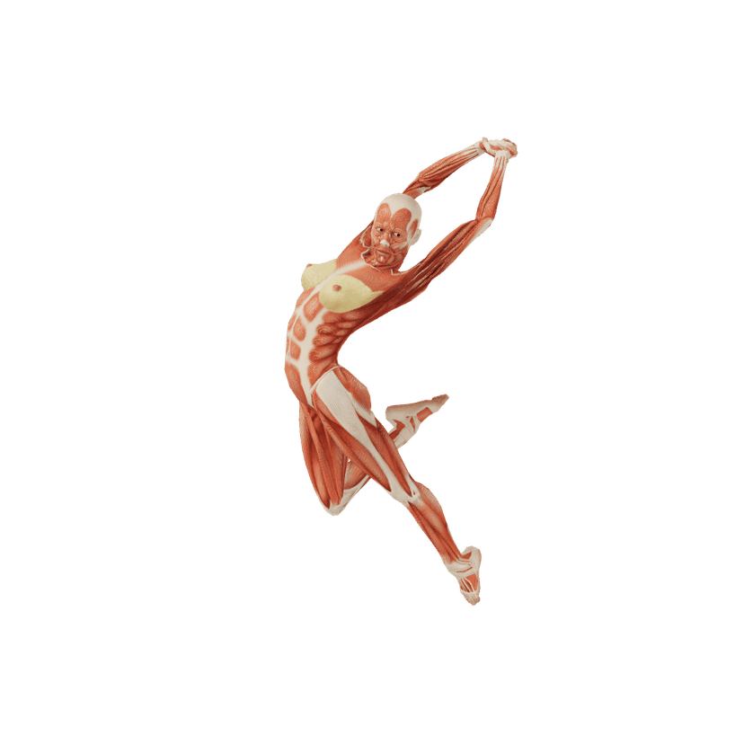 Floating Female poses | POSEMANIACS - Royalty free 3d pose reference ...