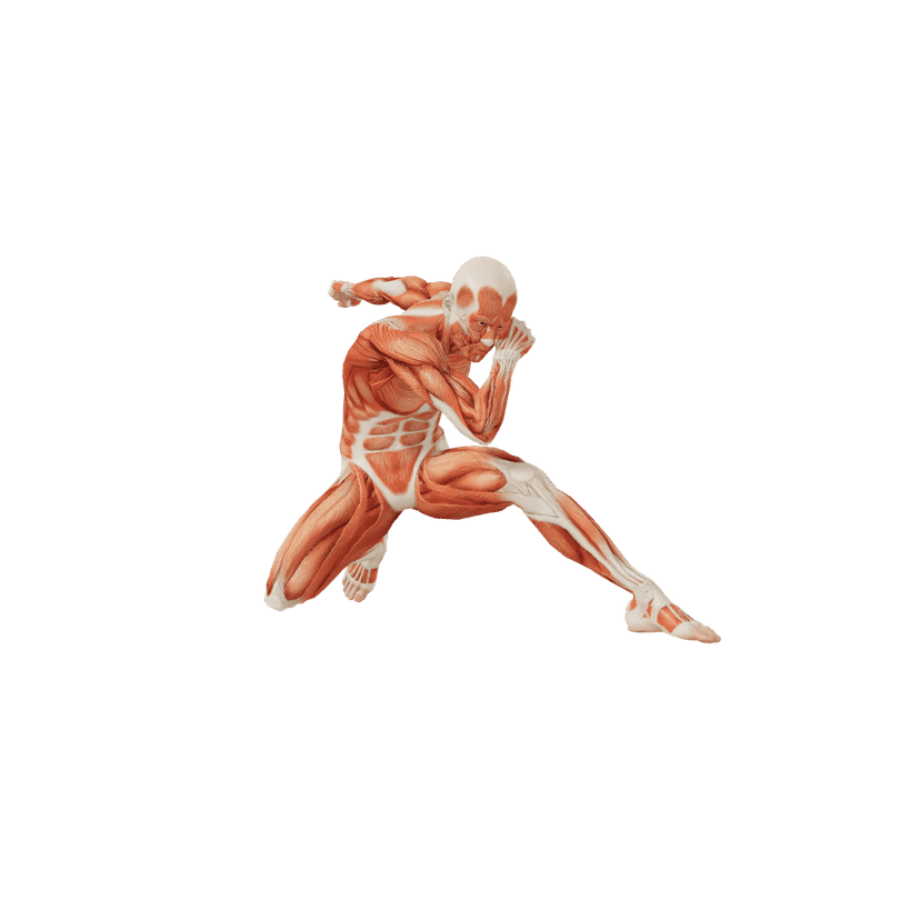 Squatting Male poses | POSEMANIACS - Royalty free 3d pose reference for ...