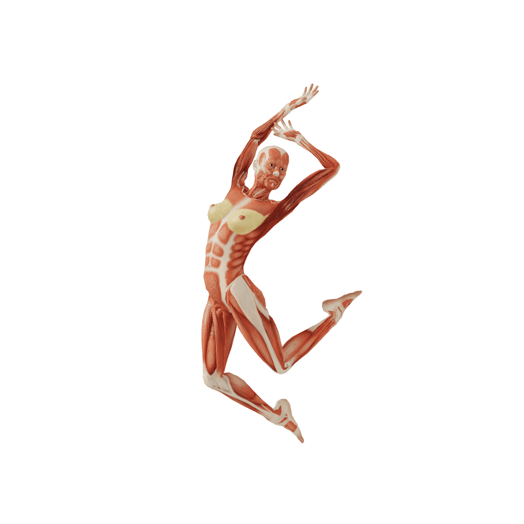 Jumping Female poses | POSEMANIACS - Royalty free 3d pose reference for ...