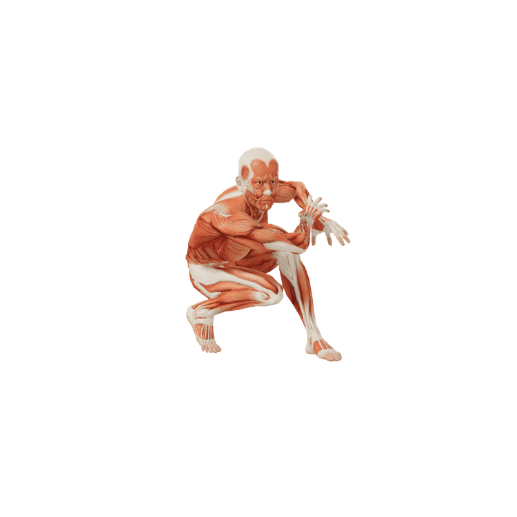 Fighting Male poses | POSEMANIACS - Royalty free 3d pose reference for ...