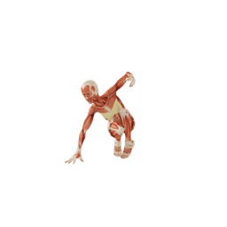 Pose 0000554, Female, Standing, Fighting, Twisting body, Raising arm ...