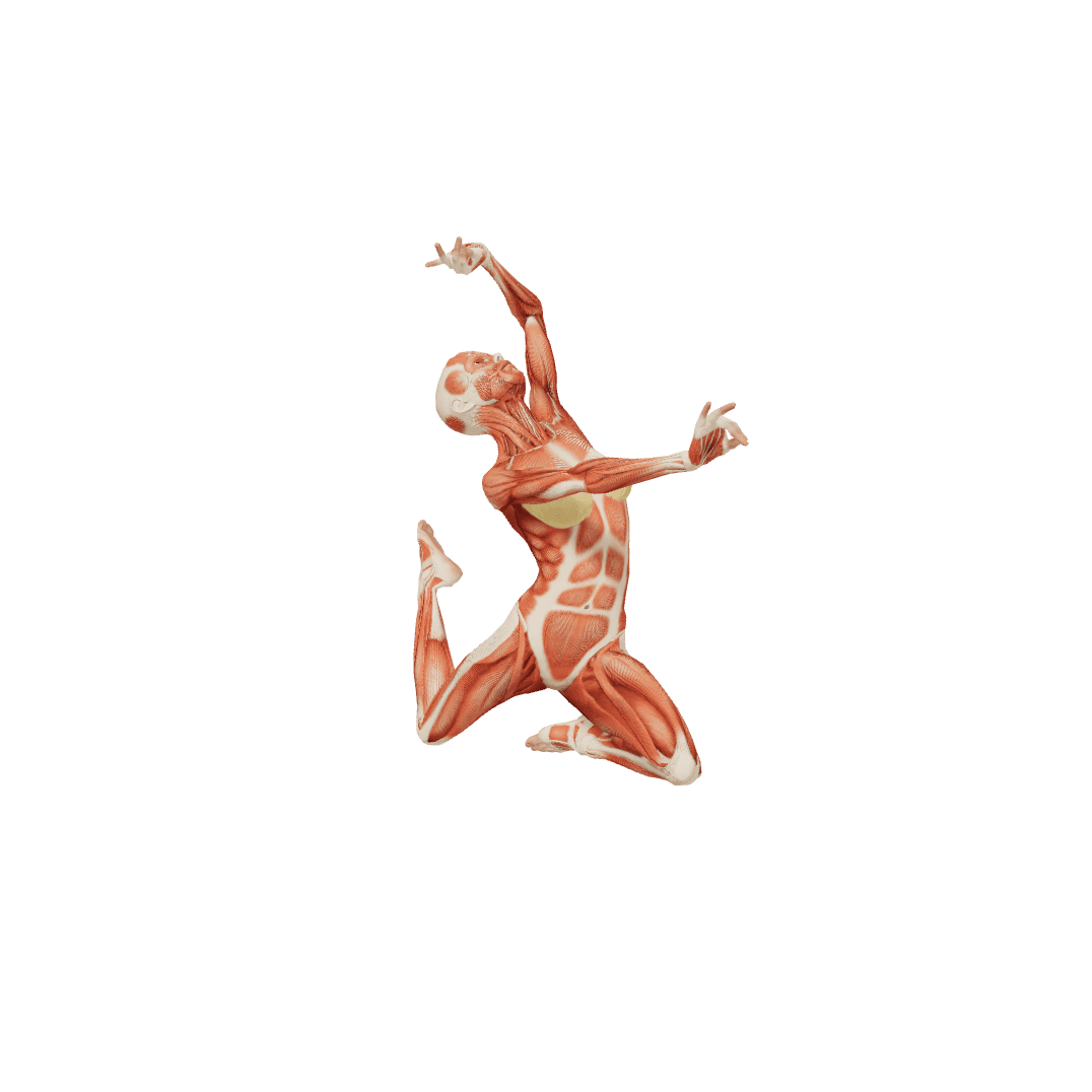 Dancing Female poses | POSEMANIACS - Royalty free 3d pose reference for ...