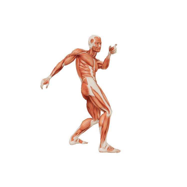 Fighting Male poses | POSEMANIACS - Royalty free 3d pose reference for ...