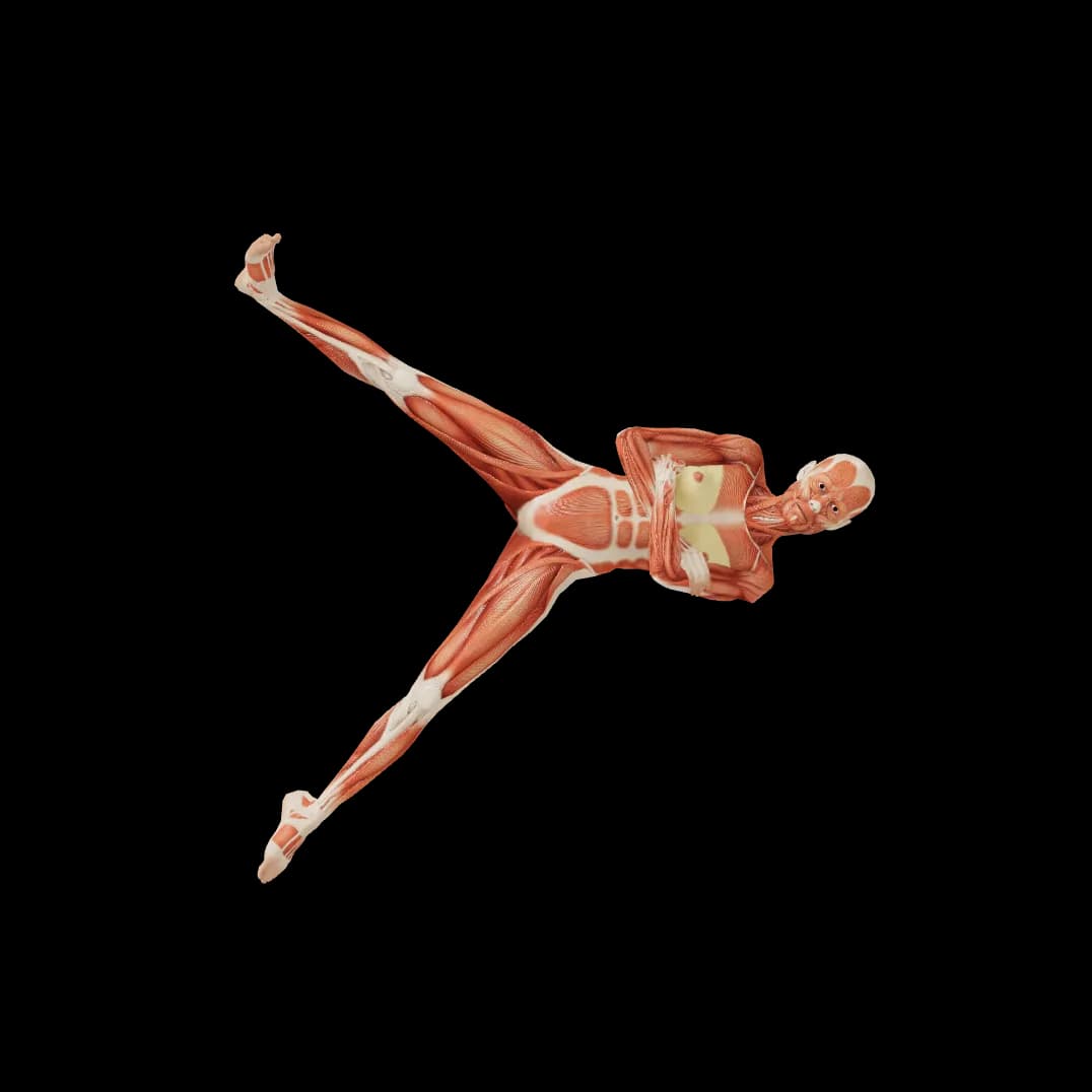 Pose 0000752, Male, Fighting, Sports, Fitness, Hanging, Cool ...