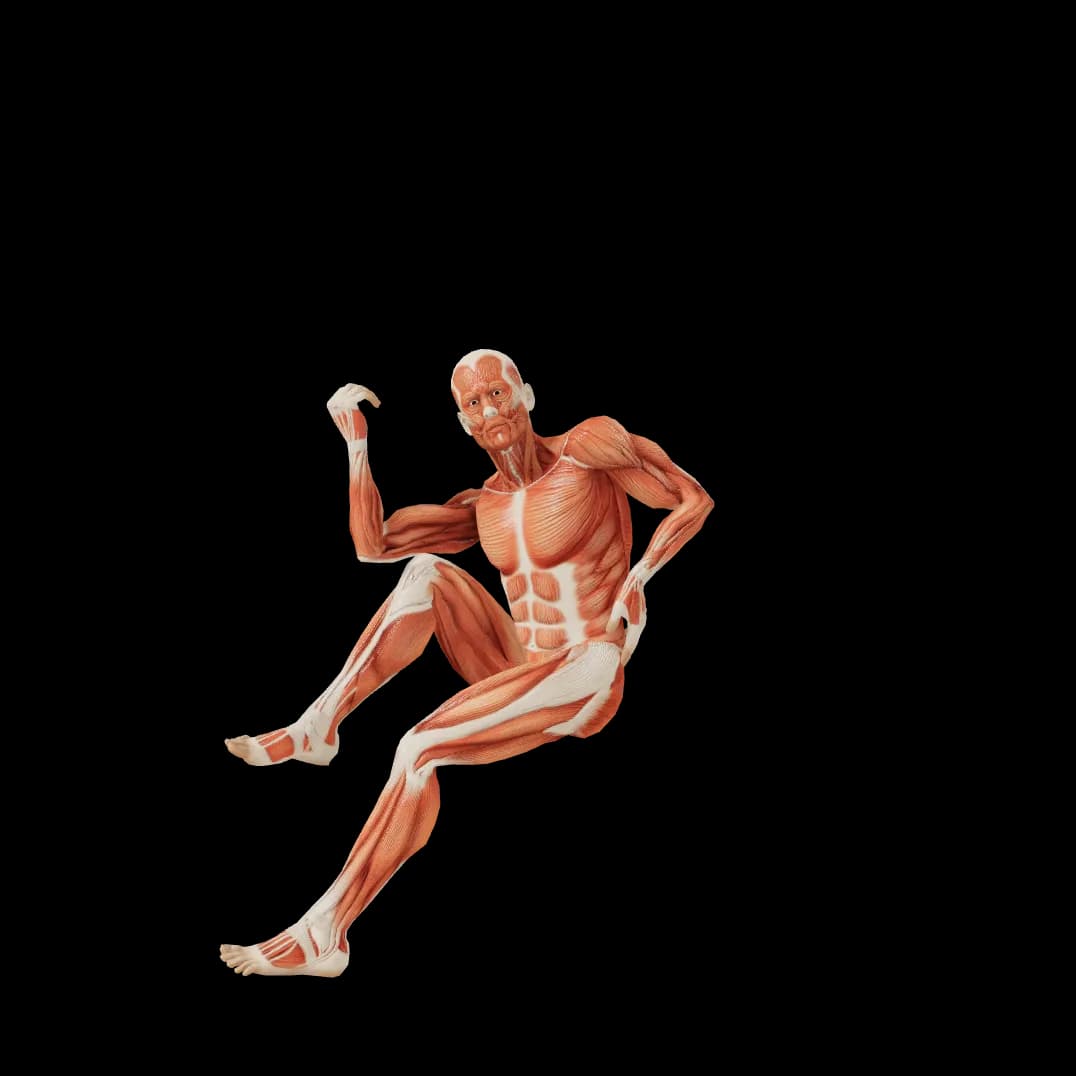 Pose 0000743, Female, Floating, Swimming | POSEMANIACS - Royalty free ...