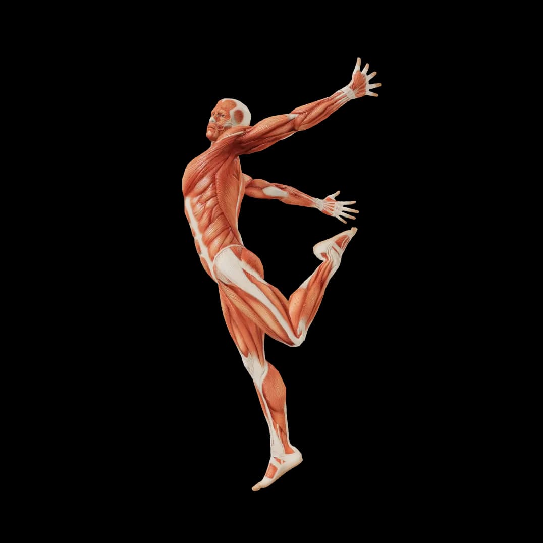 Pose 0000801, Female, Sitting, Sexy, Squatting, Twisting body, Fashion ...