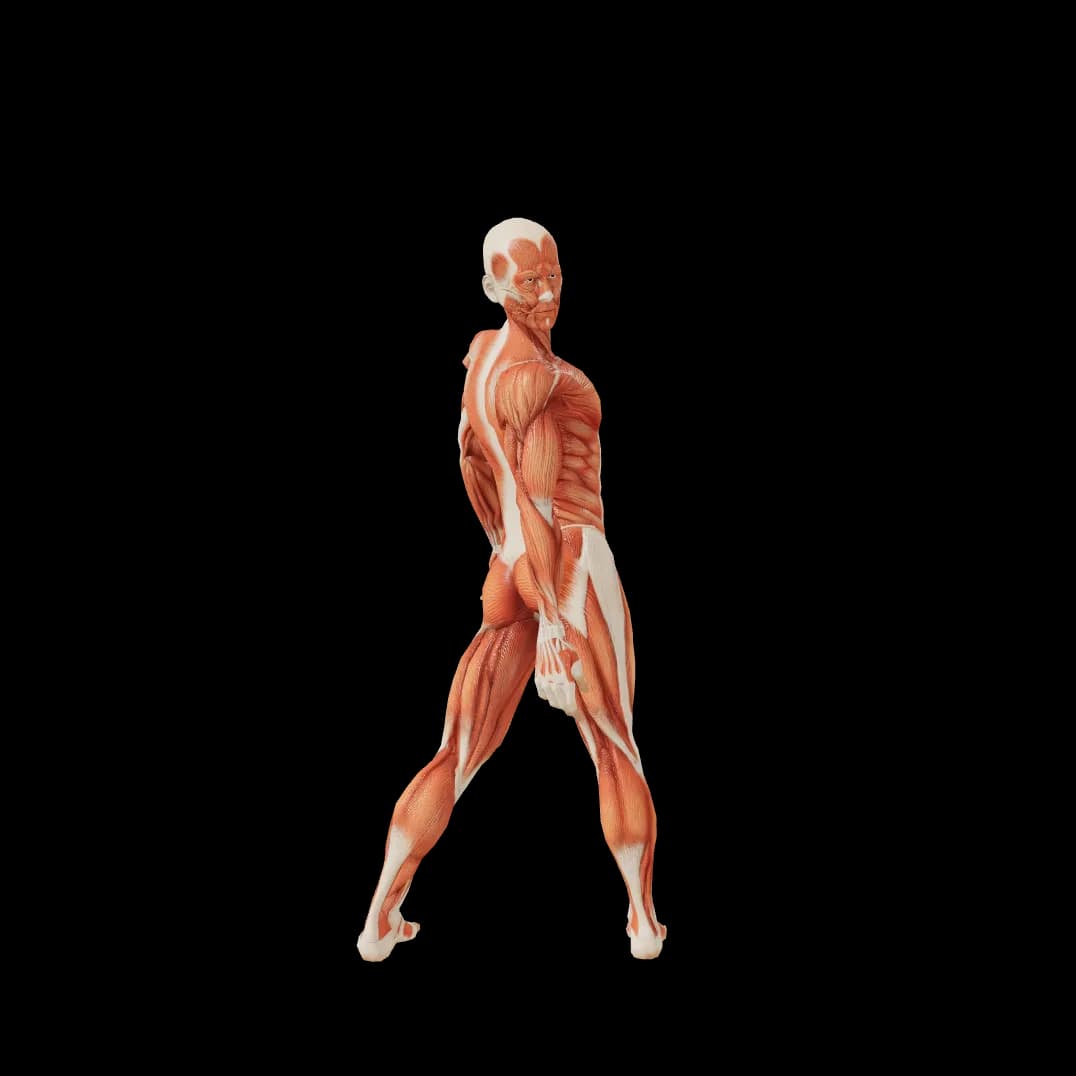 Pose 0000801, Female, Sitting, Sexy, Squatting, Twisting body, Fashion | POSEMANIACS - Royalty ...