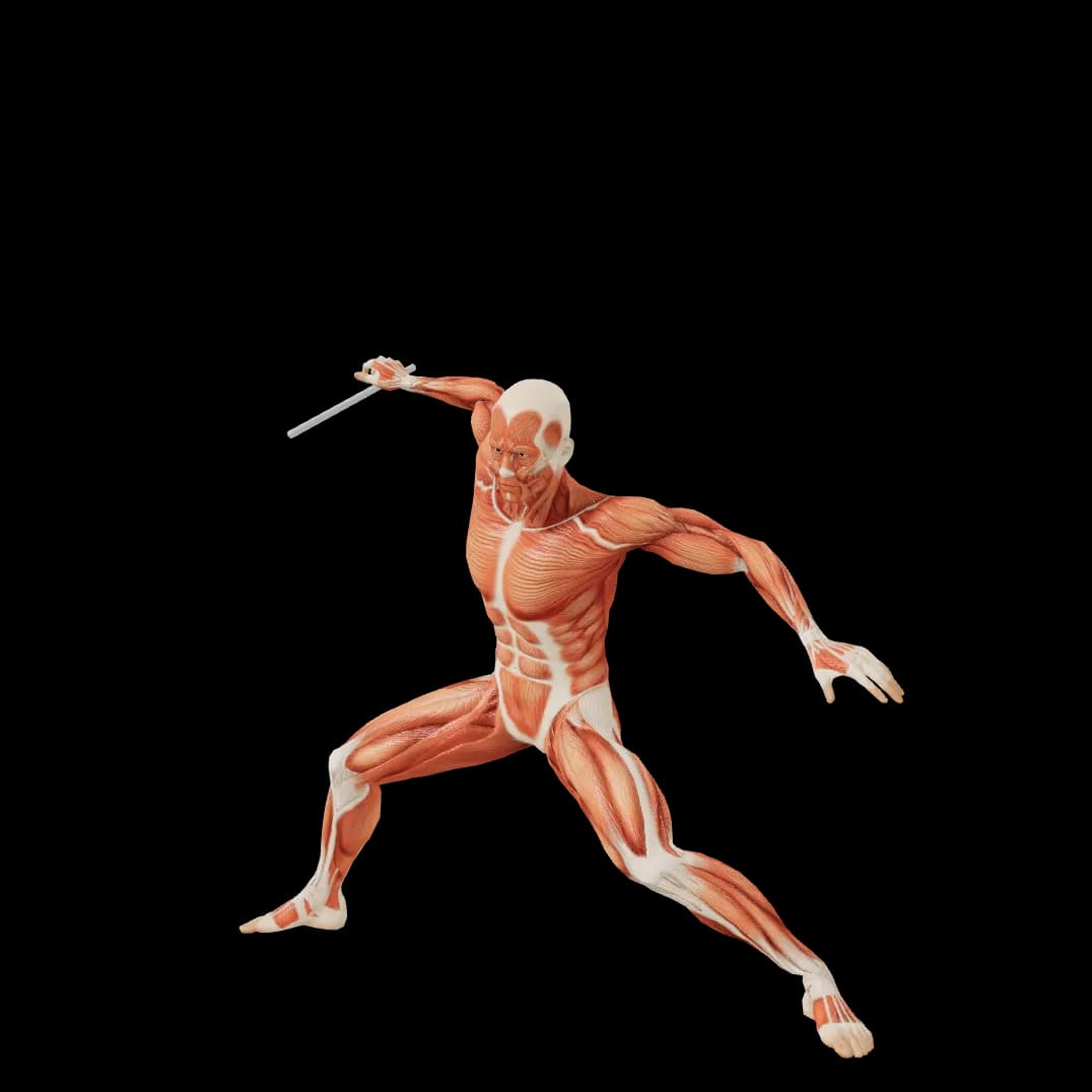 Pose 0000814, Male, Standing, Fighting, Sexy, Twisting body, Raising ...