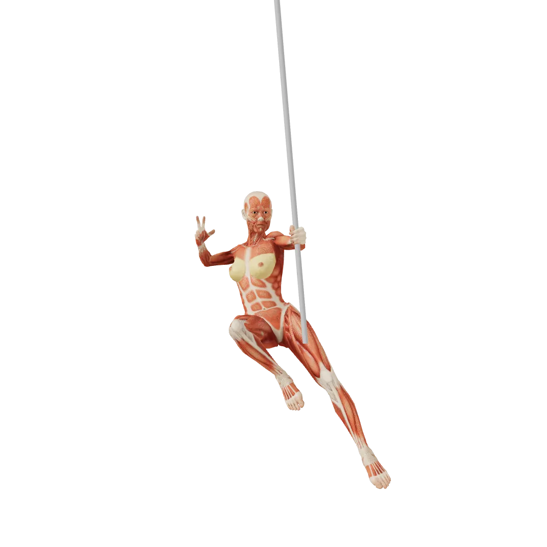POSEMANIACS - Royalty free 3d pose reference for all artists