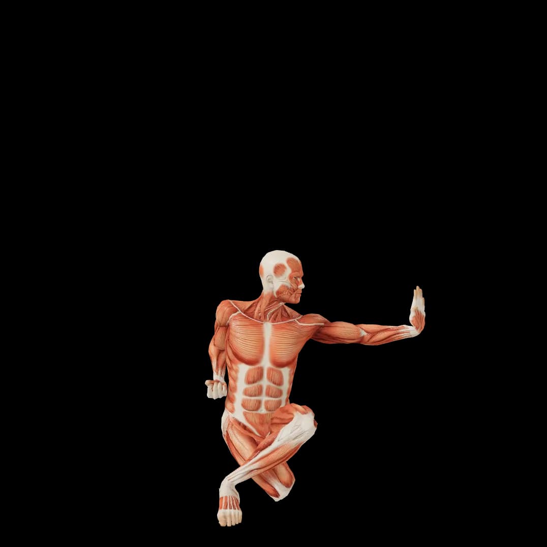 Pose 0000872, Female, Fighting, Jumping, Floating, Raising arm, Raising ...