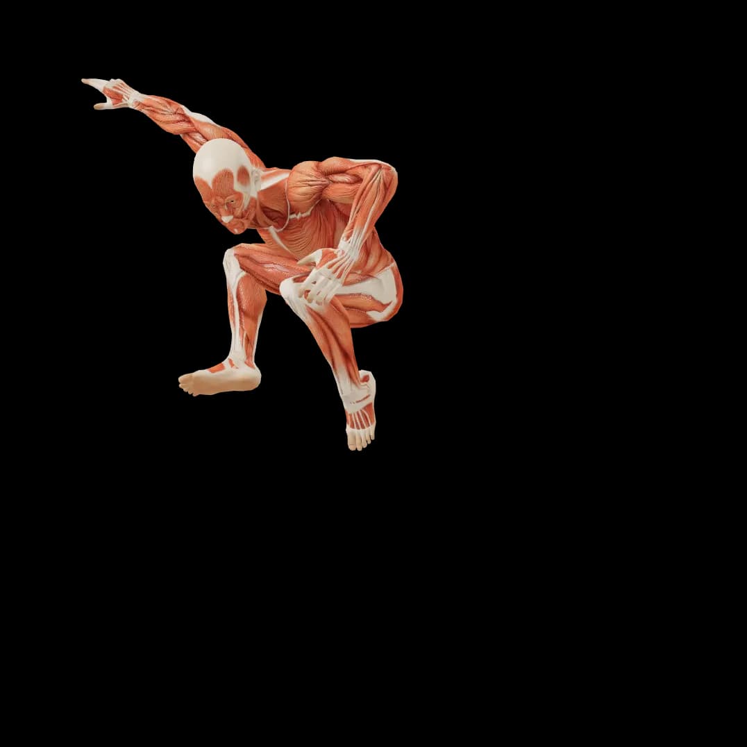 Pose 0000844, Female, Standing, Crossing arms, Twisting body, Cool ...