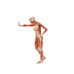 Pose 0100008, Male, Standing, Raising arm, Leaning | POSEMANIACS ...