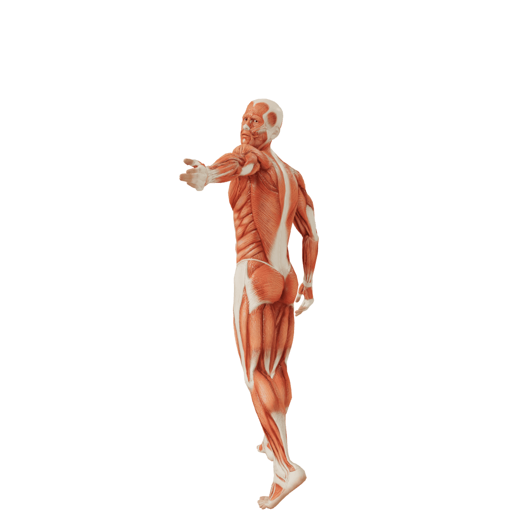 Walking Unisex poses | POSEMANIACS - Royalty free 3d pose reference for ...