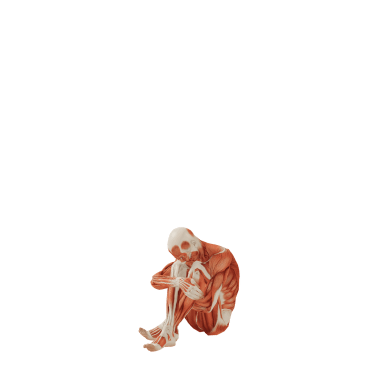 Sad Unisex poses | POSEMANIACS - Royalty free 3d pose reference for all ...