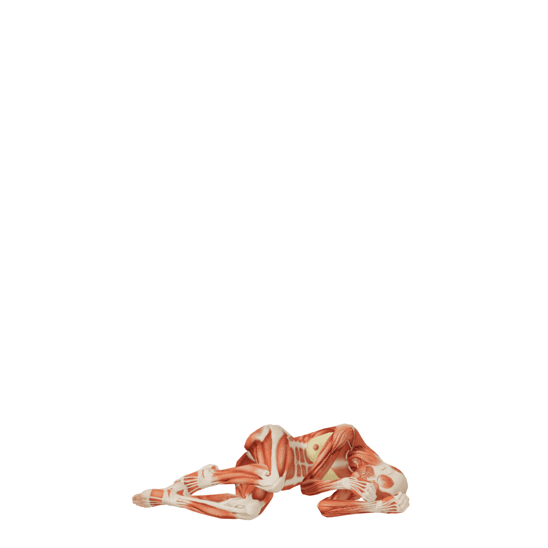 Sad Unisex poses | POSEMANIACS - Royalty free 3d pose reference for all ...
