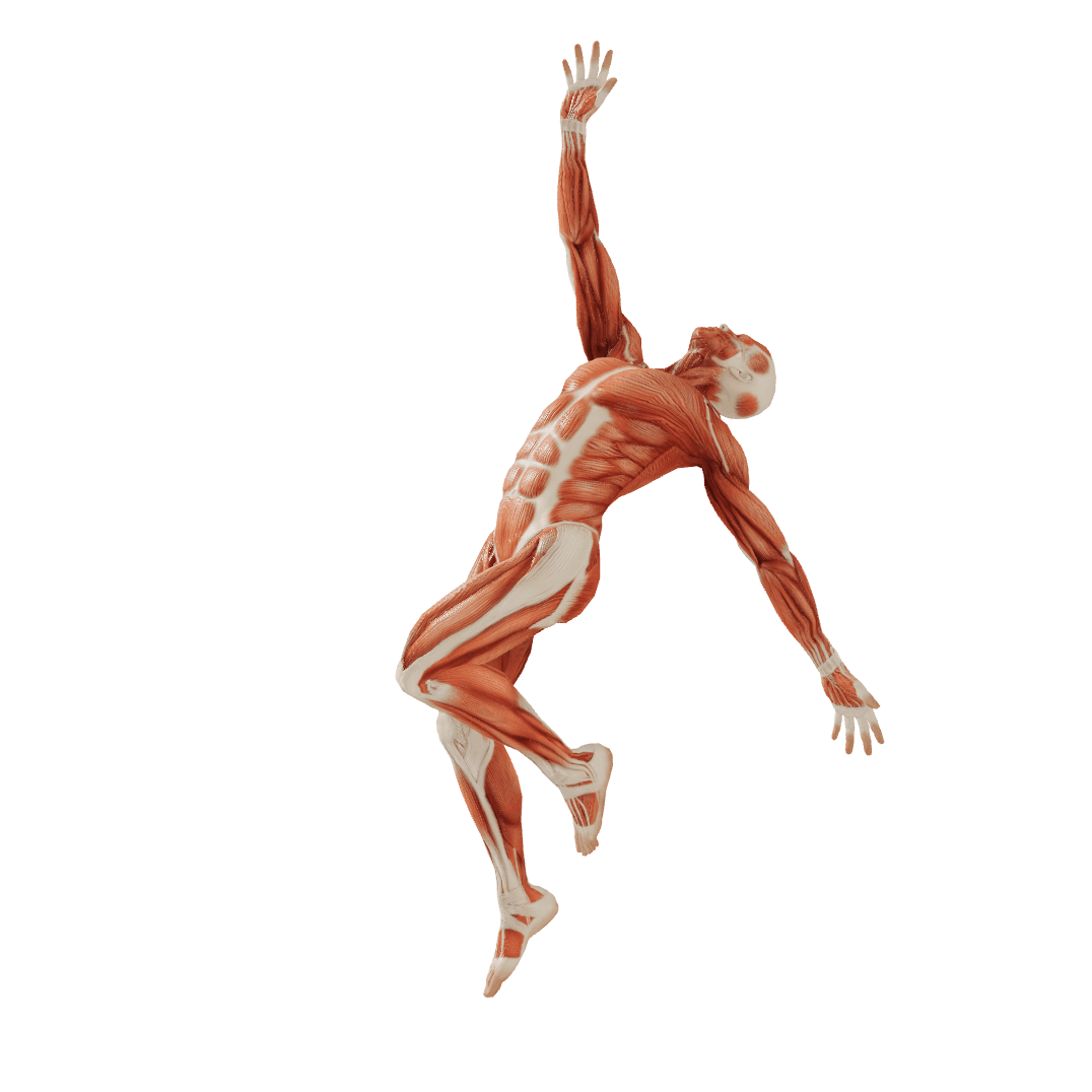 Floating Male poses | POSEMANIACS - Royalty free 3d pose reference for ...