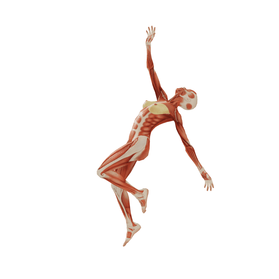 Floating Female poses | POSEMANIACS - Royalty free 3d pose reference ...