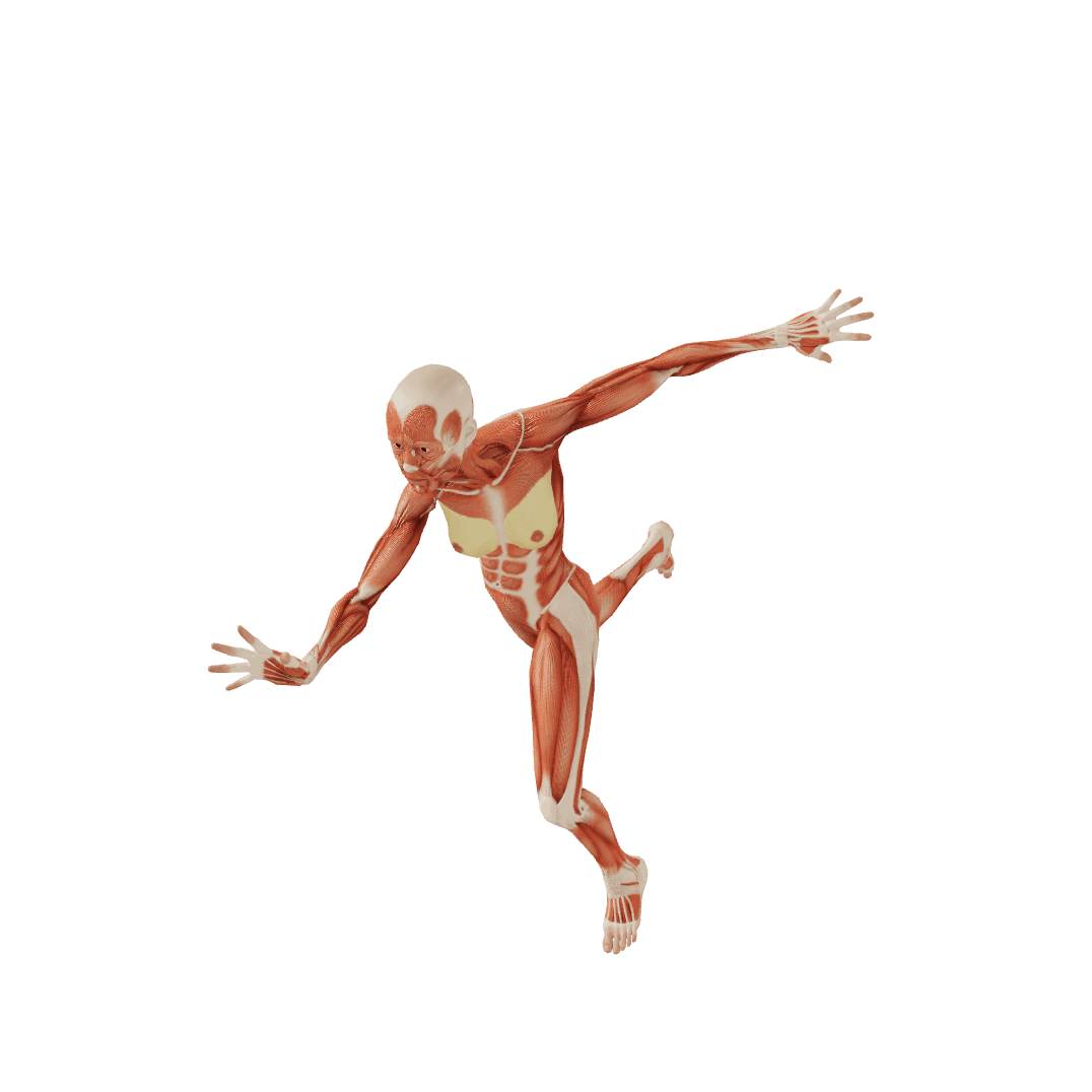 Running Unisex poses | POSEMANIACS - Royalty free 3d pose reference for ...