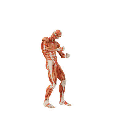 Damage Male poses | POSEMANIACS - Royalty free 3d pose reference for ...