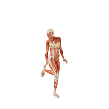 Pose 01GBVYJTGZJVSQ97CP68CJKEY4, Female, Jumping, Dancing, Twisting ...