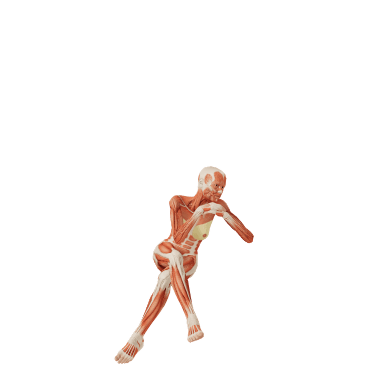 POSEMANIACS - Royalty free 3d pose reference for all artists