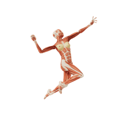 No tag Unisex poses | POSEMANIACS - Royalty free 3d pose reference for ...