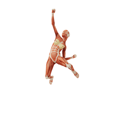Jumping Female poses | POSEMANIACS - Royalty free 3d pose reference for ...