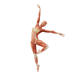 Pose 01GBVYGVBWVKCBJ86RZ0XFAR5A, Female, Ballet, Jumping, Dancing ...